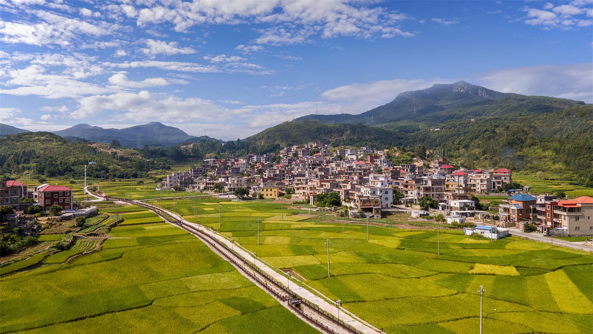 La Chine fera progresser la revitalisation rurale et facilitera la ...