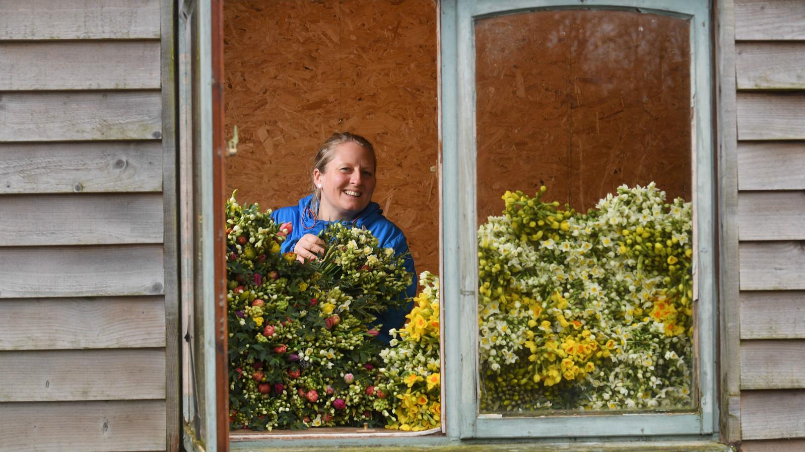 Angleterre : une fenêtre pleine de bouquets - CGTN