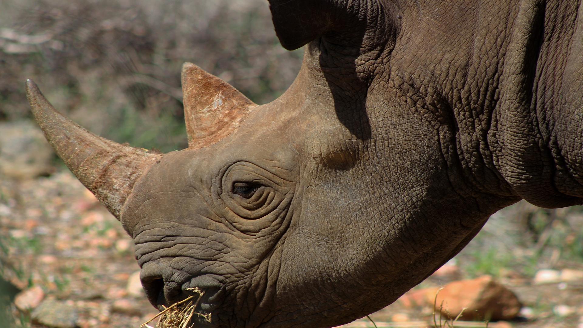 La première réserve communautaire d'Afrique de l'Est à établir un ...