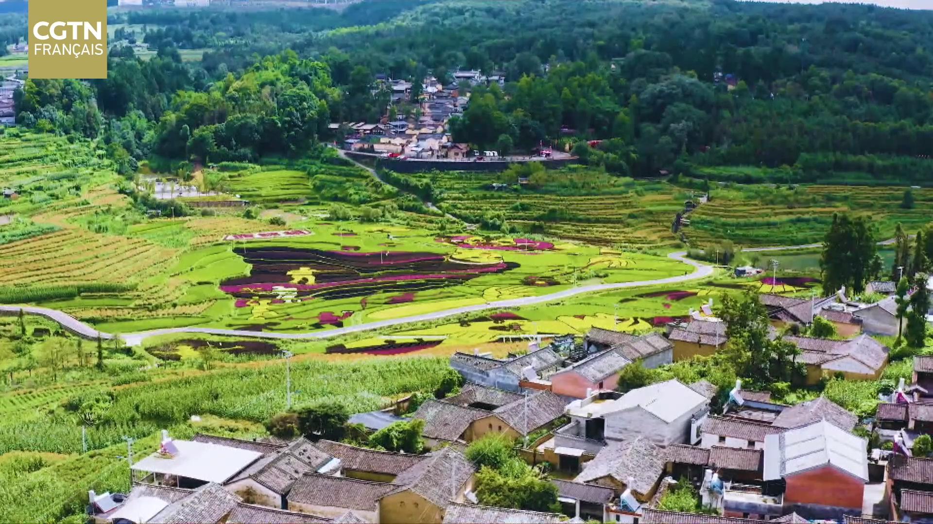 Mon rapport sur la Chine : les efforts de revitalisation rurale ...